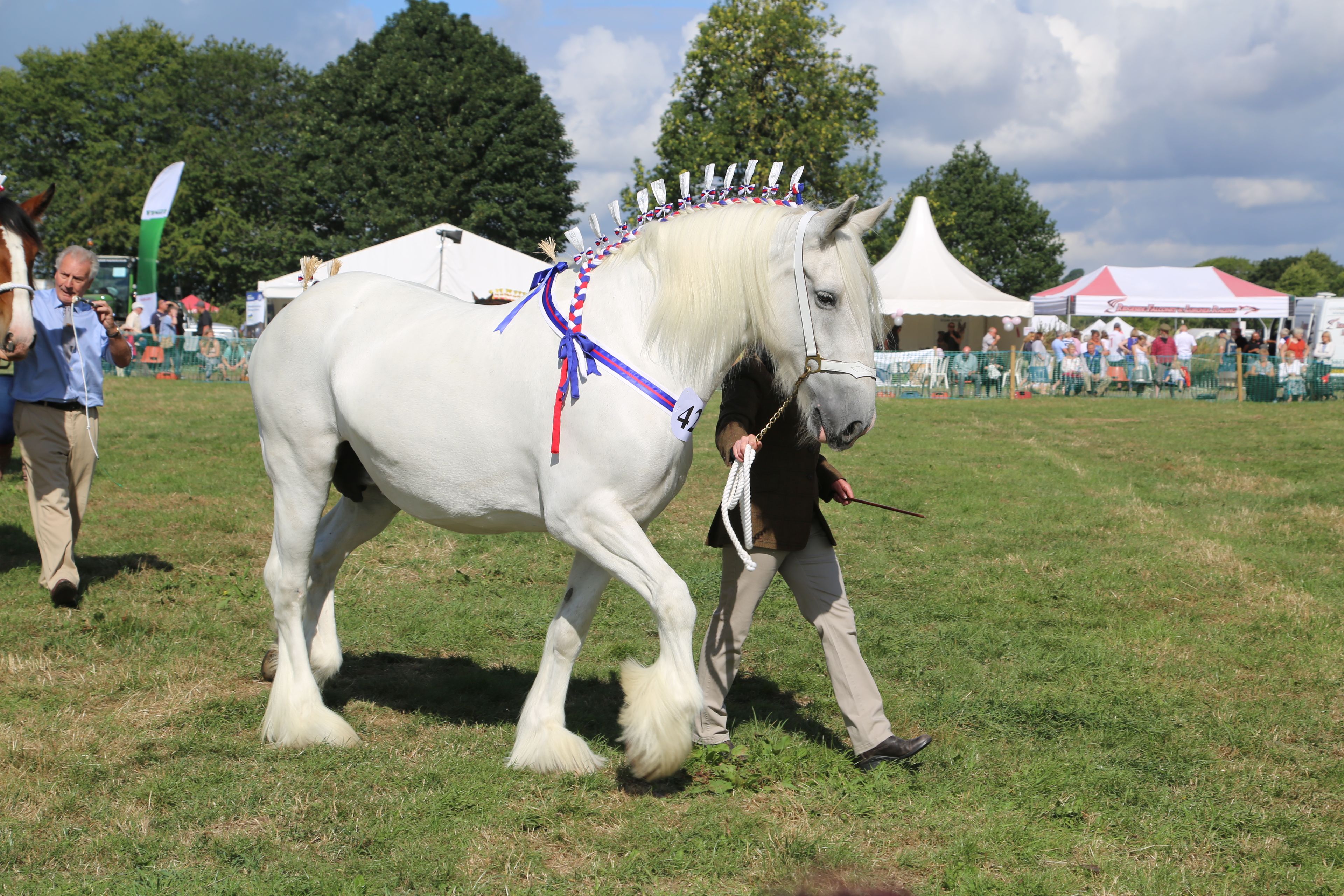 Ashover Agricultural and Horticultural Show