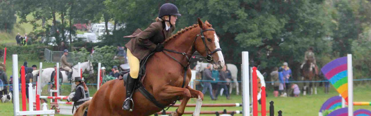 Ashover Agricultural and Horticultural Show