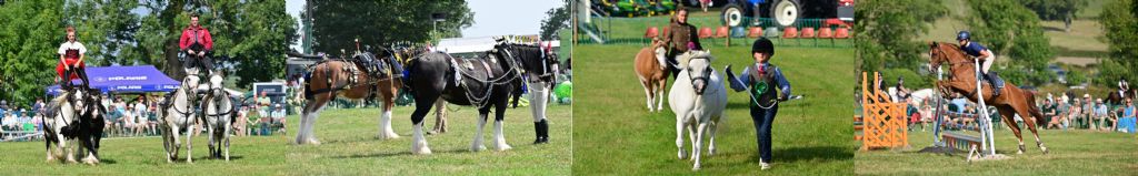 Ashover Agricultural and Horticultural Show